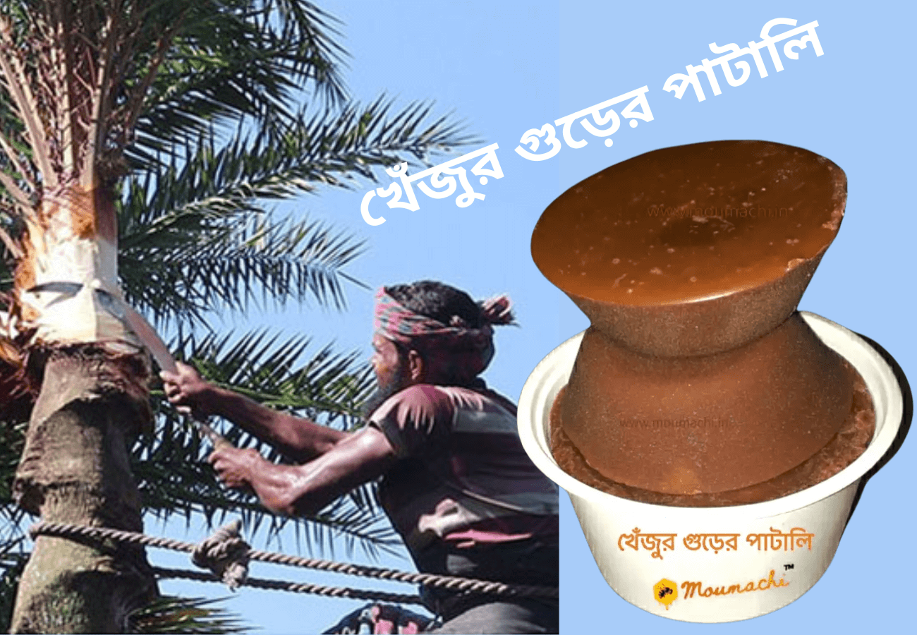 Different Types of Jaggery (Gur)You Can Buy Online - Moumachi®